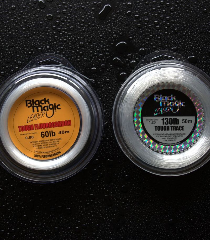 Blue Cod - Species Guide